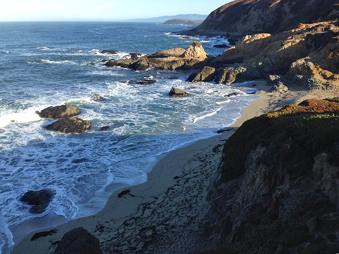 Bodega Bay's working harbor proves that some things never go out of style – like fresh seafood.