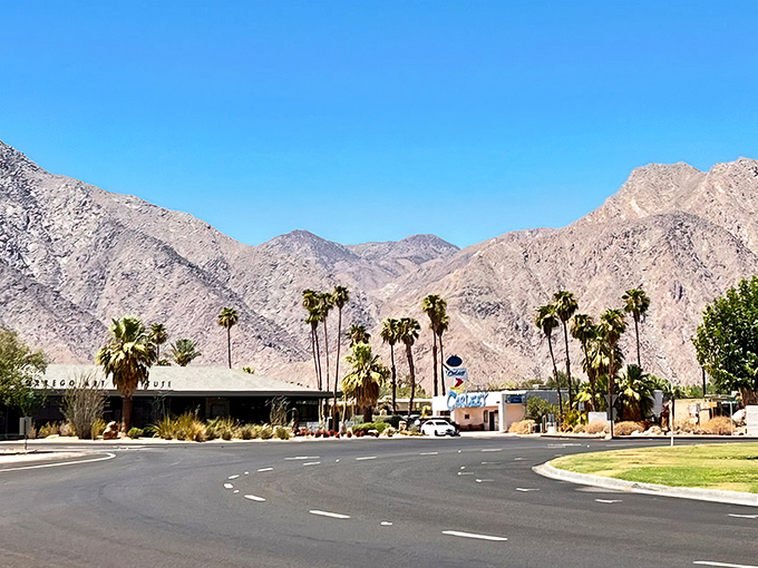Borrego Springs' desert landscape stretches endlessly, offering solitude that money simply cannot buy elsewhere.