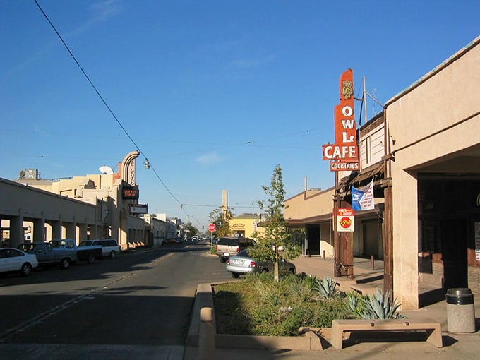 Desert sunshine and unbeatable prices create the ultimate California value destination for wise travelers.