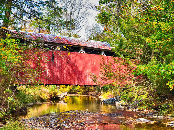 Covered bridges span more than just water - they connect us to simpler times when craftsmanship meant something lasting.