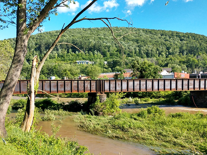 Emporium's tree-covered mountains cradle this small town where nature lovers can retire without spending a fortune.