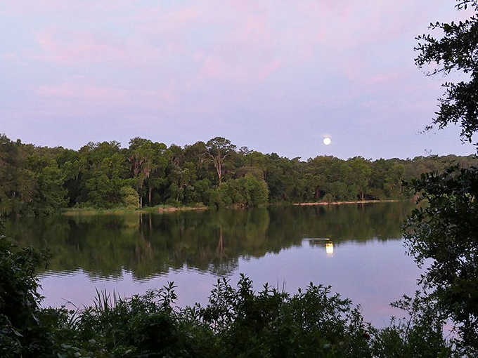 Gainesville's lake reflects the moon like nature's own night light, perfect for evening contemplation.