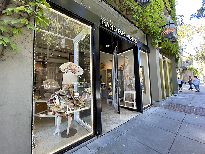 Elegant fans that once spoke a secret language only society ladies truly understood.