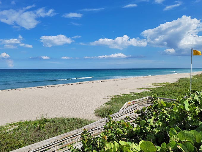 Pristine dunes and native vegetation create a coastal ecosystem that feels wonderfully untouched today.