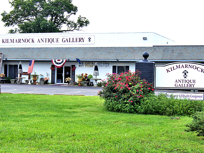 Gallery-style presentation elevates antique shopping into an art appreciation experience worth savoring slowly and thoughtfully.