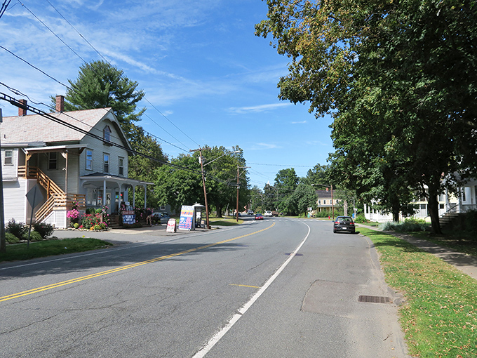 Tree-lined streets create natural canopies over sidewalks where evening strolls cost absolutely nothing but time well spent. 