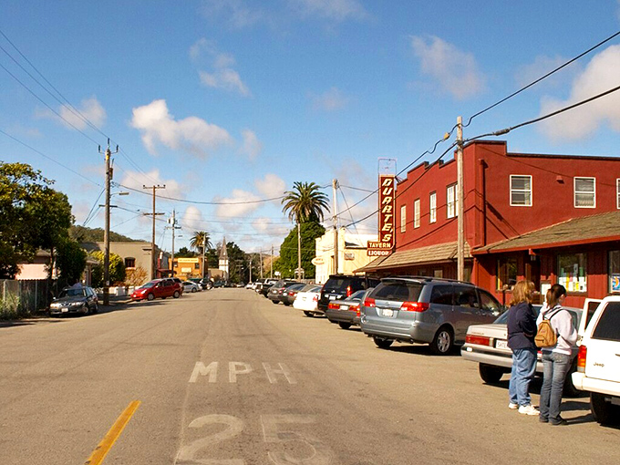 This small farming community offers a glimpse into California's agricultural heritage with stunning coastal backdrops.