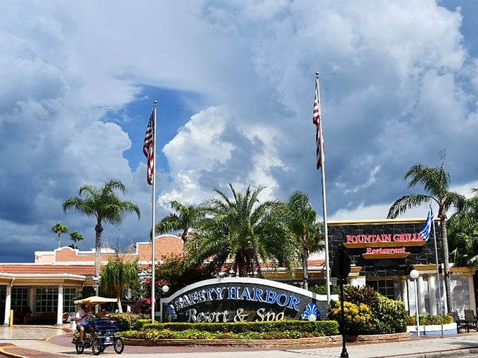 Safety Harbor's waterfront combines natural springs with Tampa Bay views, where ancient healing waters meet modern relaxation perfectly.