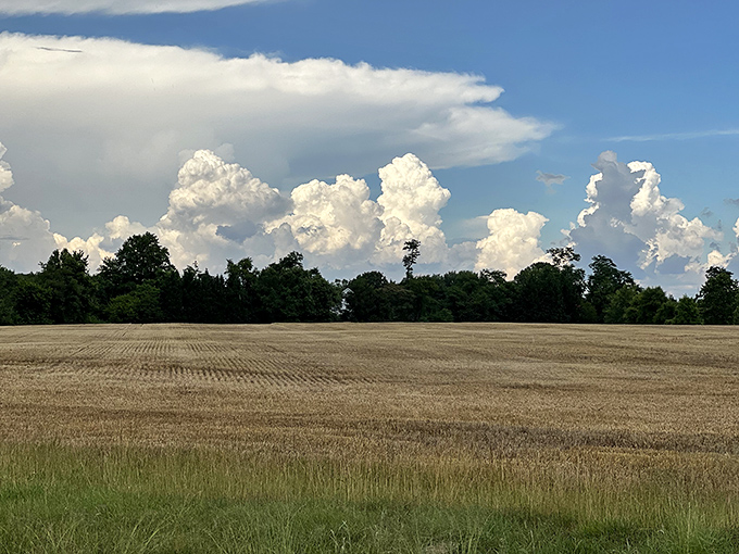 Rolling farmland stretches endlessly under clouds that look like cotton candy dreams come true.