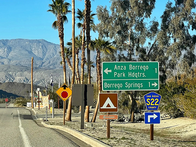 Palm trees frame the entrance to Borrego Springs, nature's affordable retirement community in the heart of the desert.