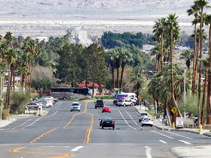 Those desert mountains around Borrego Springs change colors like mood rings - nature's daily light show included!