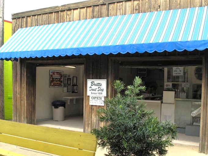 Open-air charm and ocean breezes make every Britt's donut taste like a perfect beach day memory.