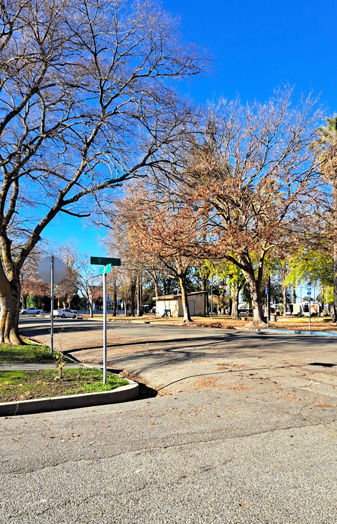 Tree-shaded streets invite peaceful walks through neighborhoods where your Social Security stretches beautifully.