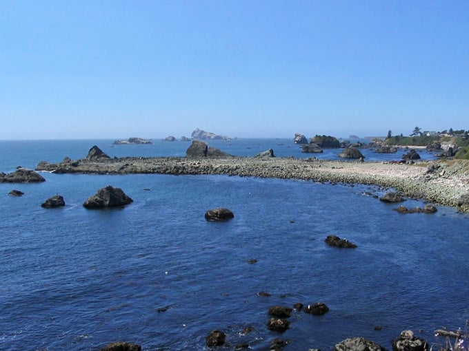 Pacific coastline meets working harbor.