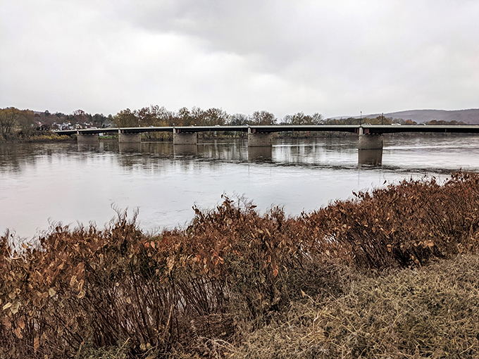 The Susquehanna reflects Danville's quiet dignity like a mirror showing off Pennsylvania's understated river elegance.