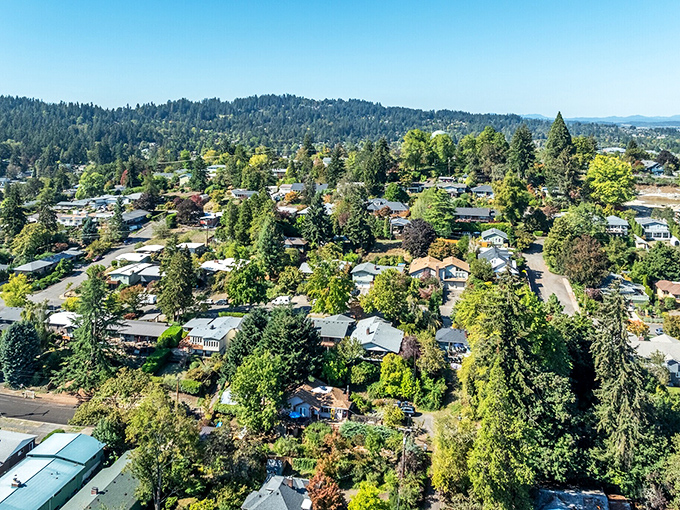 Tree-lined neighborhoods like this remind us that cities can grow without forgetting their essential humanity.