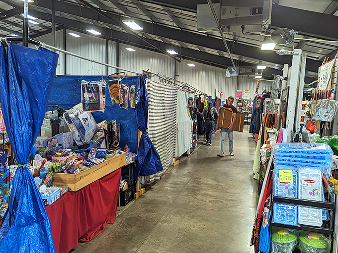 Colorful displays transform ordinary aisles into rainbow pathways leading to unexpected treasures and delights.