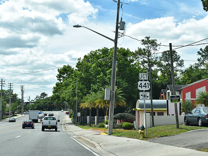 Gainesville's streets lined with trees and history - a college town with grown-up sensibilities.