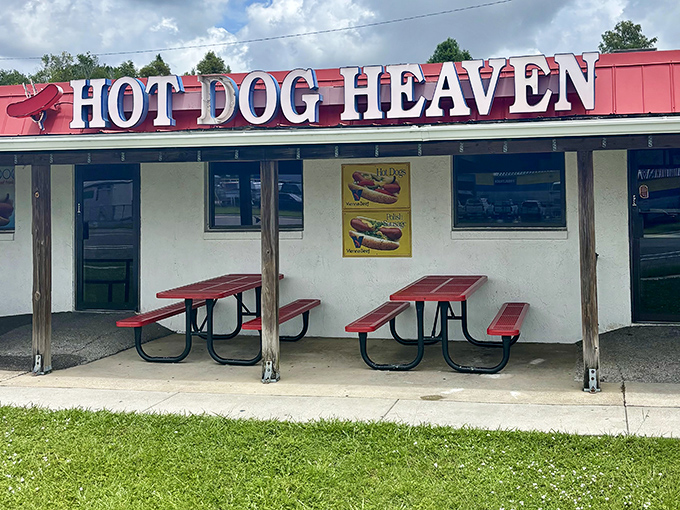 When tradition meets innovation, magic happens - especially when hot dogs are involved here.