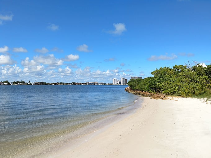 This protected shoreline showcases Florida's natural beauty exactly as nature intended it to be.