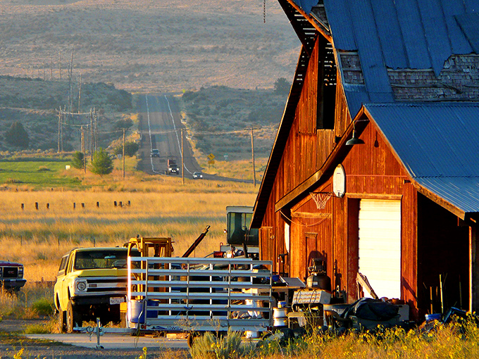 Golden hour transforms working ranches into picture perfect scenes where vintage trucks and rustic barns create authentic Western charm.