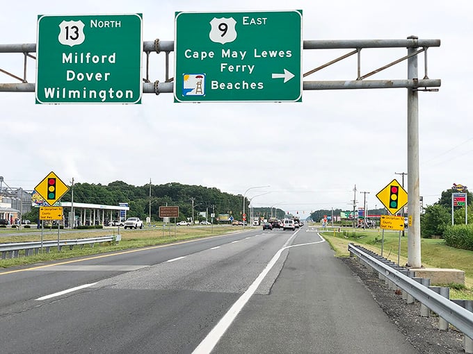 Highway signs point the way to Lewes and Milton, guiding travelers to Delaware's coastal treasures at a pace that never feels rushed.