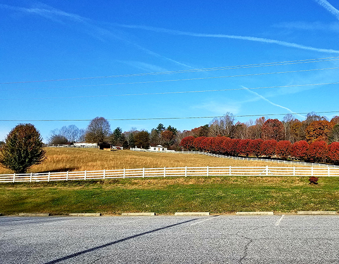Blue Ridge foothills embrace Lenoir's downtown, creating a retirement paradise where views come free with residency.