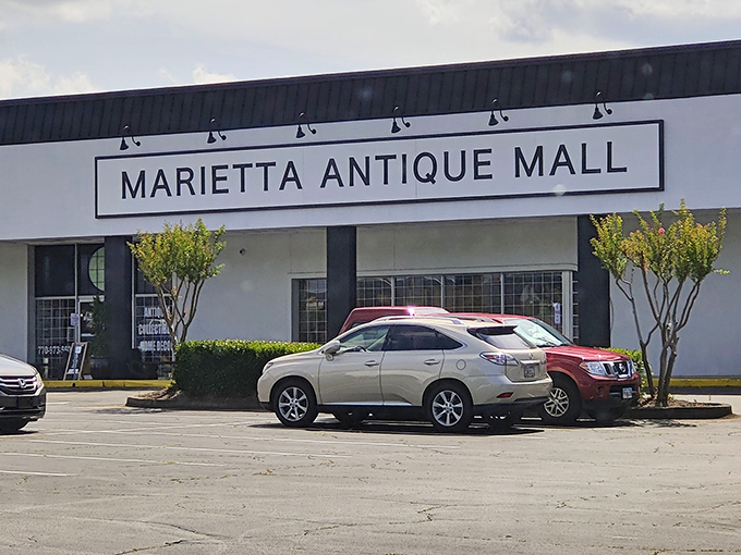 Bright lighting and professional presentation make treasure hunting feel like a sophisticated shopping experience worth savoring.