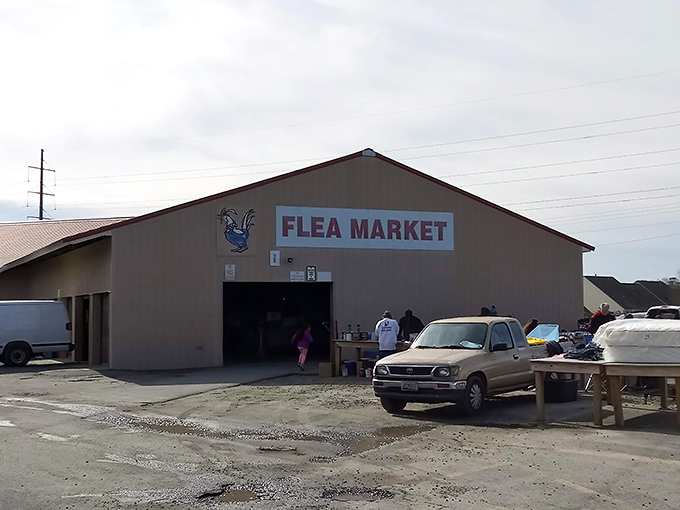 Welcome to Miller's Flea Market &mdash; a bustling indoor market where you can find all kinds of treasures under one roof.