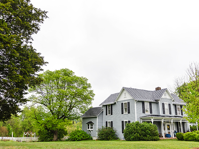The deck at Mountain Run offers mountain views that pair perfectly with their wines &ndash; no fancy wine terminology required.