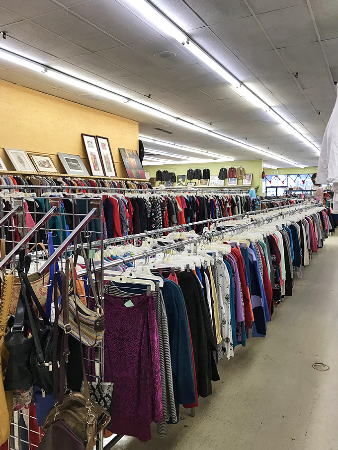 Those perfectly arranged clothing racks prove that thrift shopping doesn't have to mean digging through messy piles.