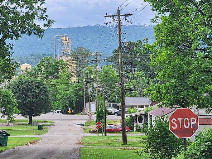 Historic downtown buildings stand testament to Tennessee communities that built themselves to last generations.