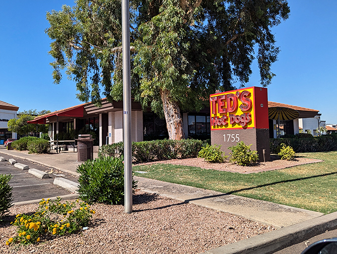 The most beloved local joints often hide behind modest facades, saving all the excitement for your plate.