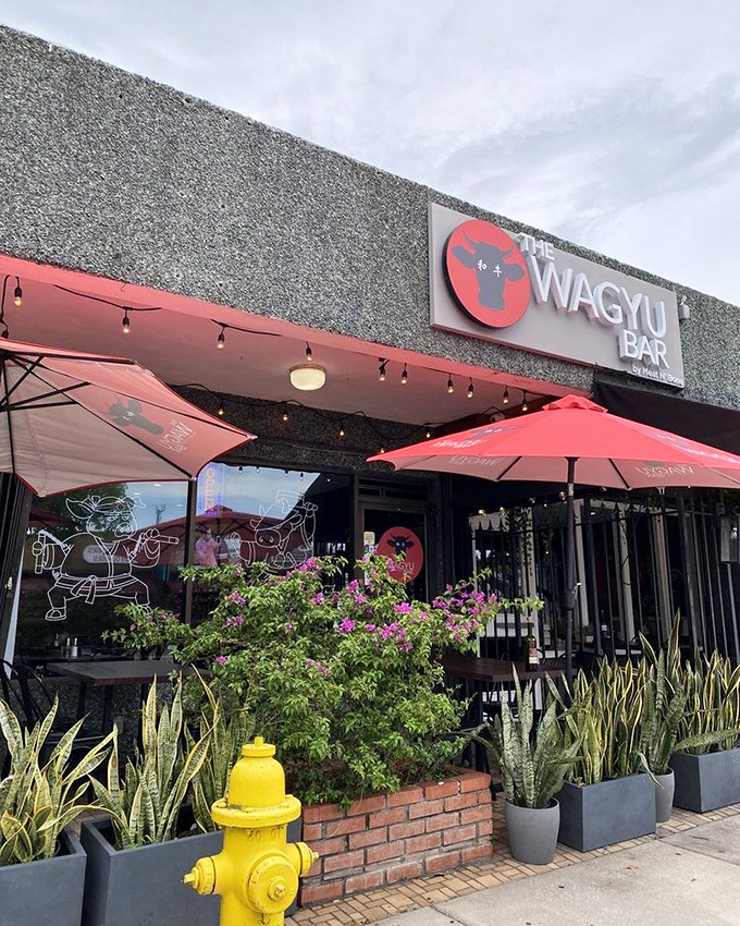 Red umbrellas and casual vibes make premium beef accessible to everyone seeking exceptional flavor experiences.