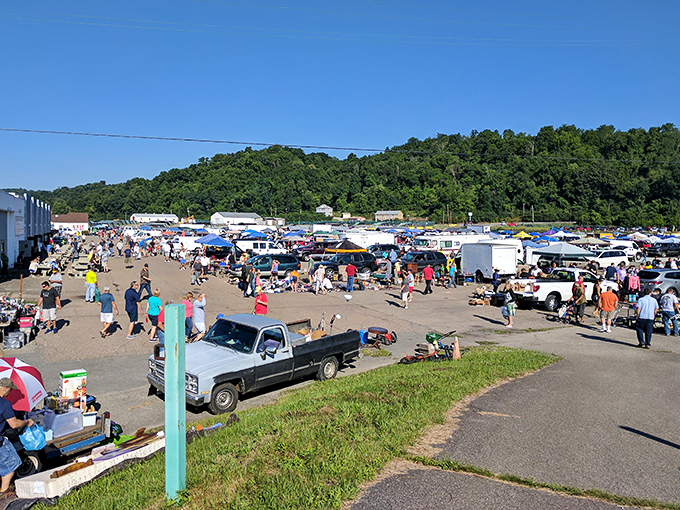 Suburban families discover that one person's clutter becomes another's perfect weekend treasure hunting adventure.
