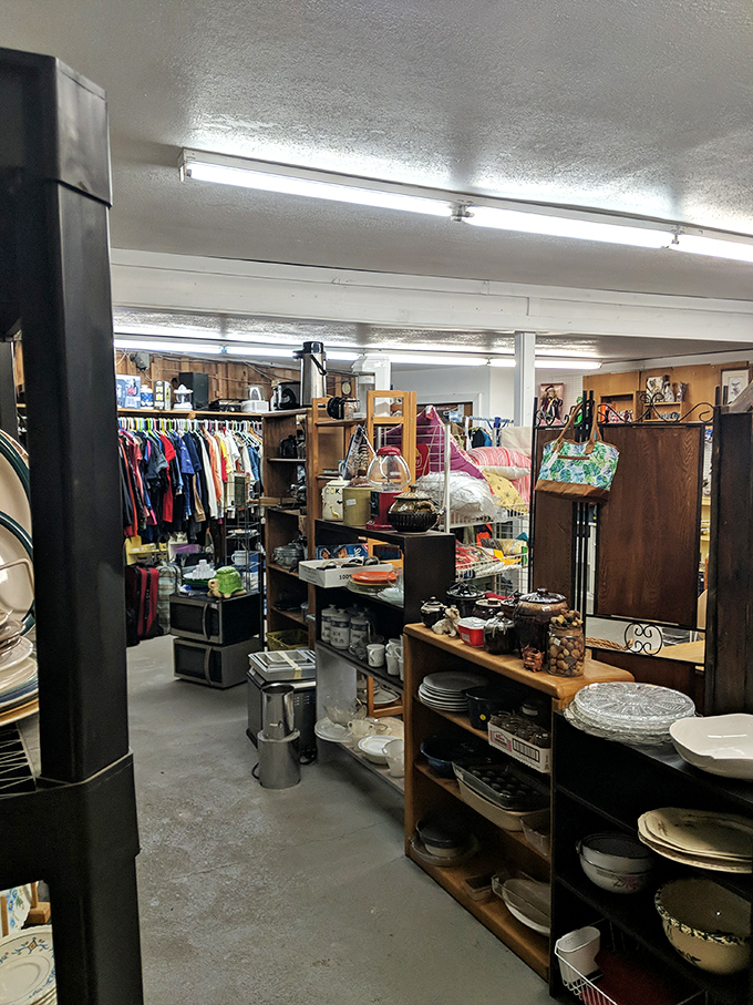 Inside Waldport Fleamarket, vintage dishes and household treasures create a cozy maze perfect for unhurried coastal treasure hunting.