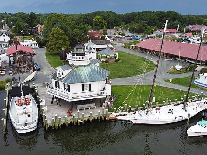 The 1879 Hooper Strait Lighthouse stands sentinel over the museum grounds, a reminder that before GPS, these beacons were the difference between safe harbor and disaster.