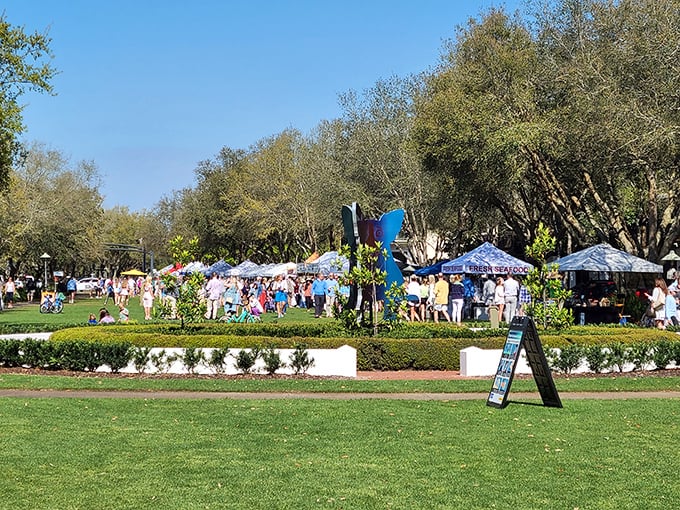 The farmers' market transforms green space into a celebration of local bounty. Where shopping bags become treasure chests of Florida's finest.