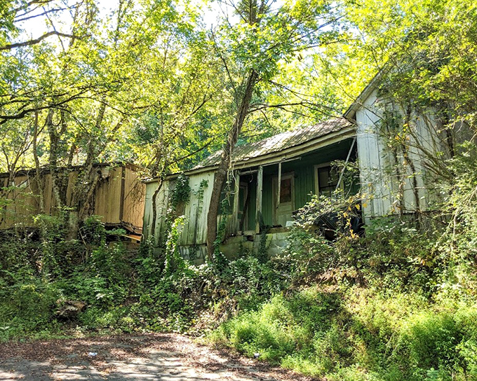 Not part of the bridge itself, but nearby abandoned structures whisper stories of the community that once relied on this crossing for commerce and connection. 