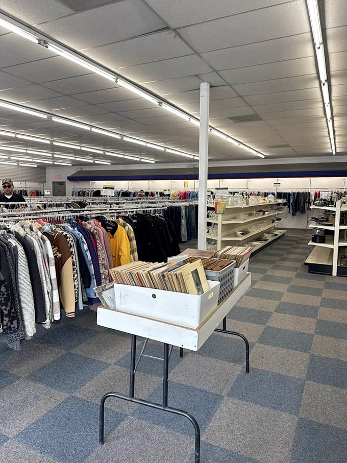 Vinyl records peek out from their bin, beckoning music lovers to flip through history one album cover at a time.