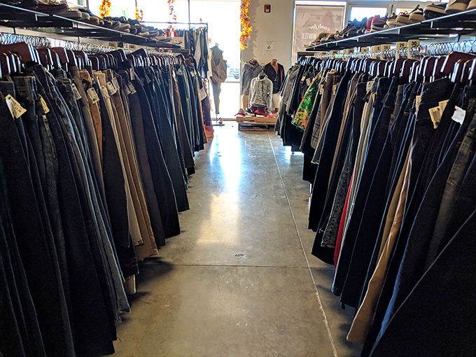 The great wall of denim! A canyon of pants stretching toward the horizon, each pair holding the promise of that elusive perfect fit.