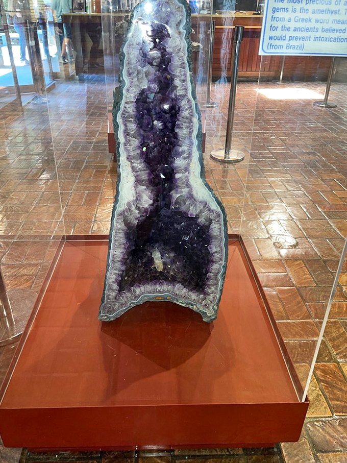 This amethyst geode is nature's jewelry box. The ancient Greeks believed these purple crystals prevented intoxication&mdash;the original designated driver stone.