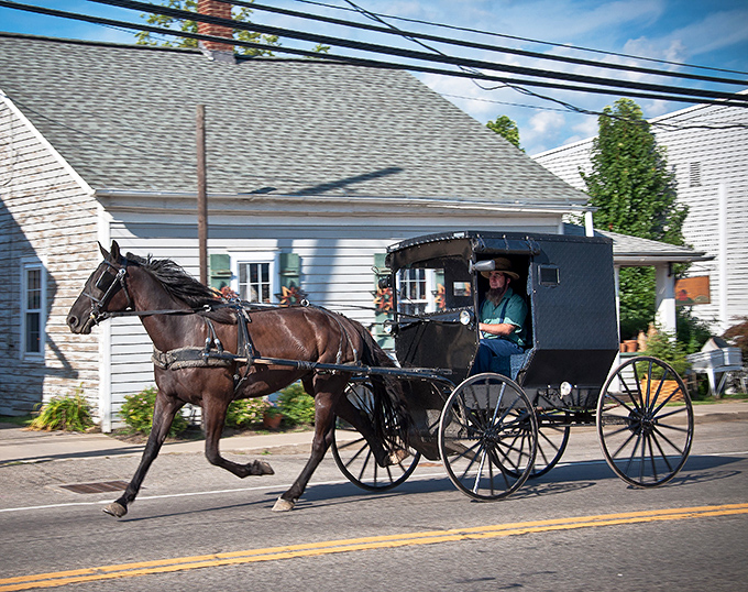 An Amish buggy shares the road with modern cars &ndash; rush hour never looked so peaceful.