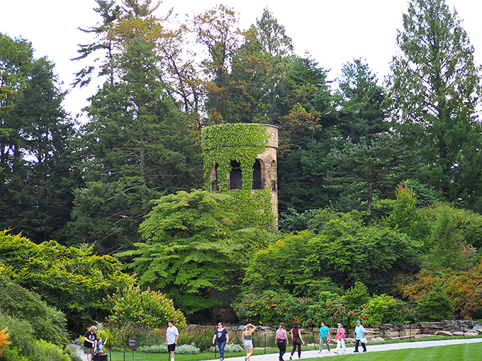 Same tower, different angle&mdash;visitors gather below what looks like nature's version of a medieval lookout post gone wonderfully green.