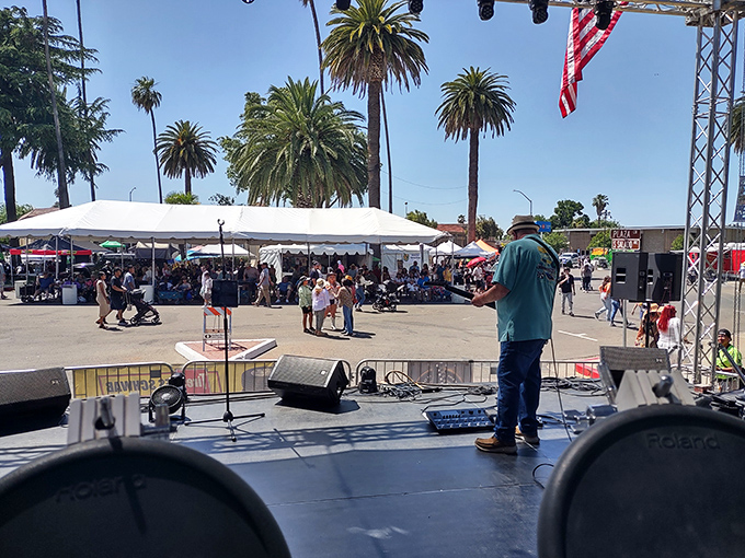 The Apricot Fiesta brings the community together with live music, food, and the shared understanding that sunscreen is not optional.