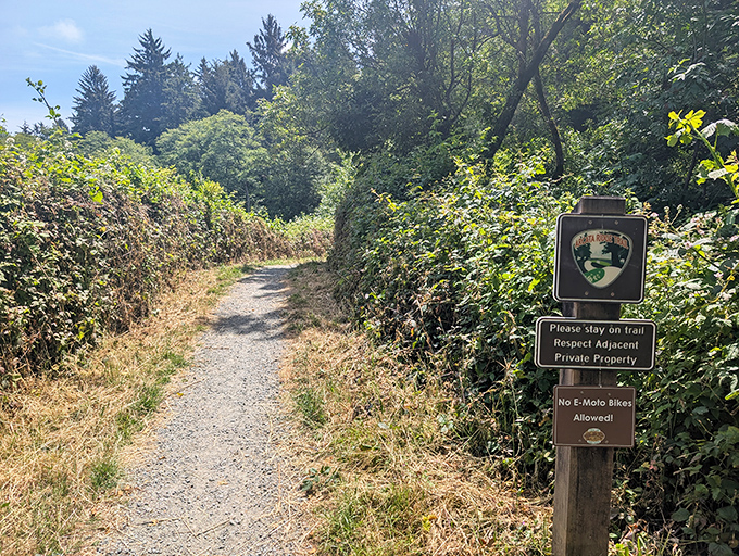 Nature's invitation: a trail disappearing into greenery, promising adventure just steps from civilization. No GPS required&mdash;getting pleasantly lost is the point.