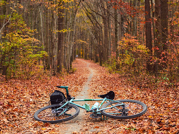 Autumn's confetti carpets the trail while a turquoise bike takes a well-deserved breather. Even bicycles stop to admire this view.