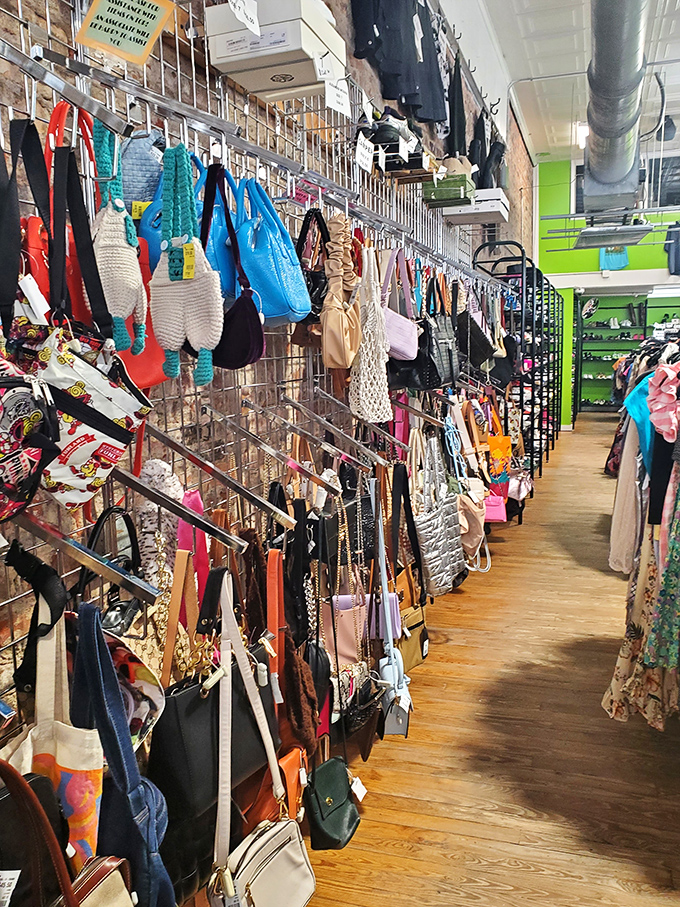 Handbags line the walls like loyal friends, each one ready to carry life's essentials and shopping victories.