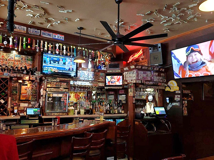 Dollar bills and license plates aren't just decoration&mdash;they're the wallpaper of memories, watched over by a moose who's seen it all.