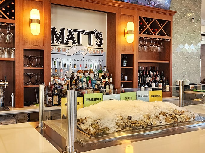 Behind the bar, bottles stand at attention while fresh oysters recline on ice, waiting for their moment of briny glory.